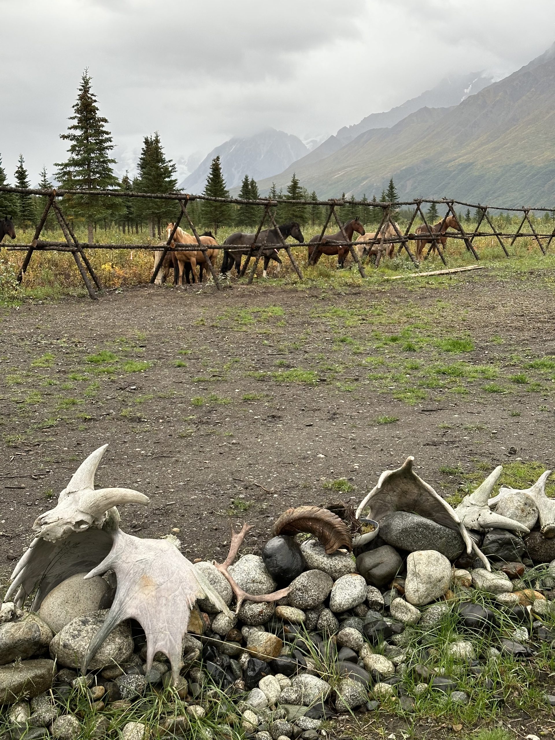 Camp View - Alaska Rampage