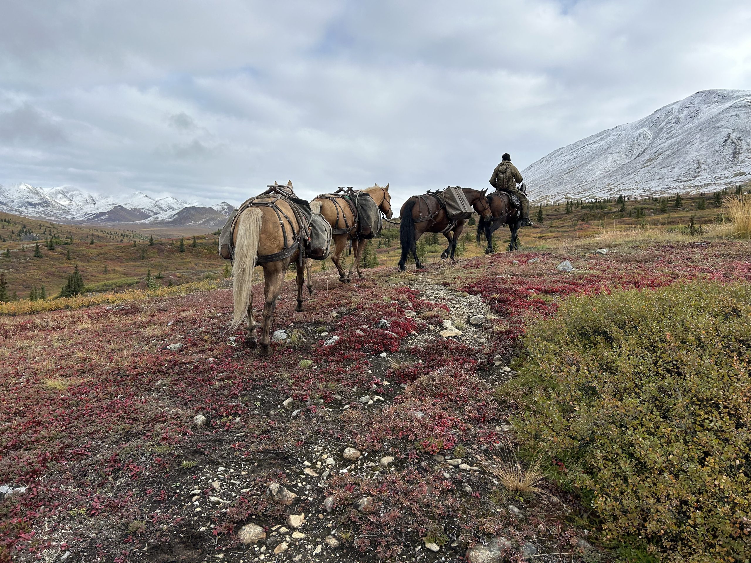 Gallery - Alaska Rampage